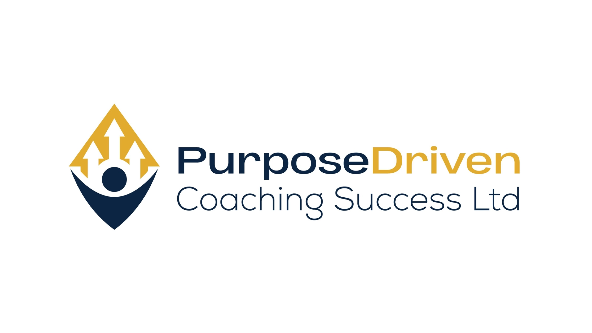 Leadership & Business Success Coaching - PD Coaching Success